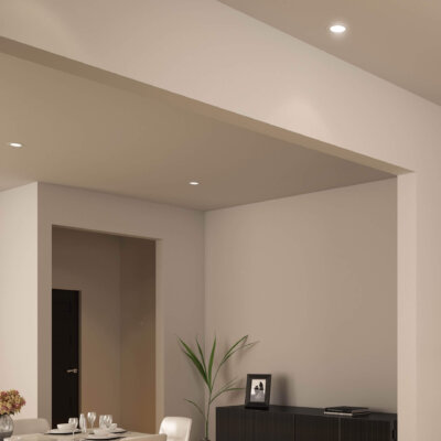 6" round panel light with interchangeable trims - Dals Lighting